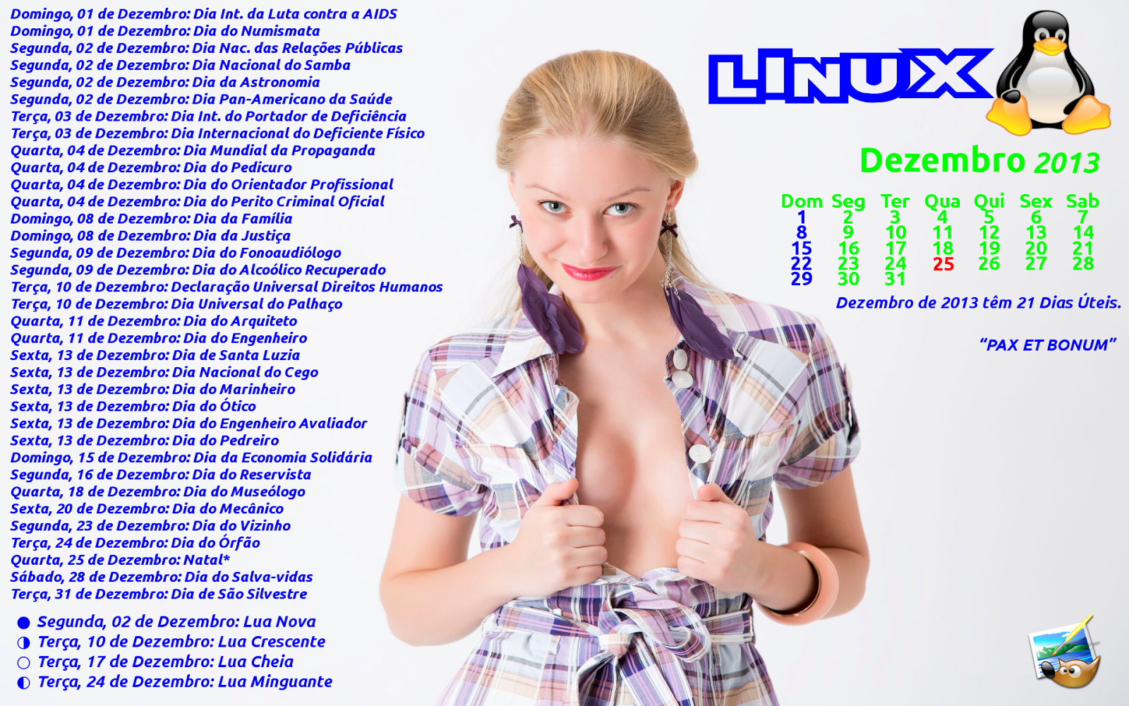 superlinuxmg-br: Novembro 2013